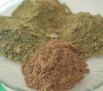 Shop By Kratom Colors | Red, Green & White Kratom | Divine Botanicals